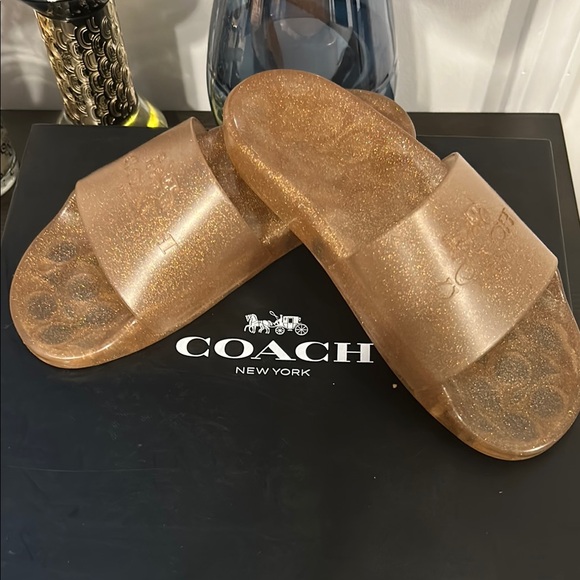 Coach | Shoes | Coach Glitter Slide Sandals | Poshmark